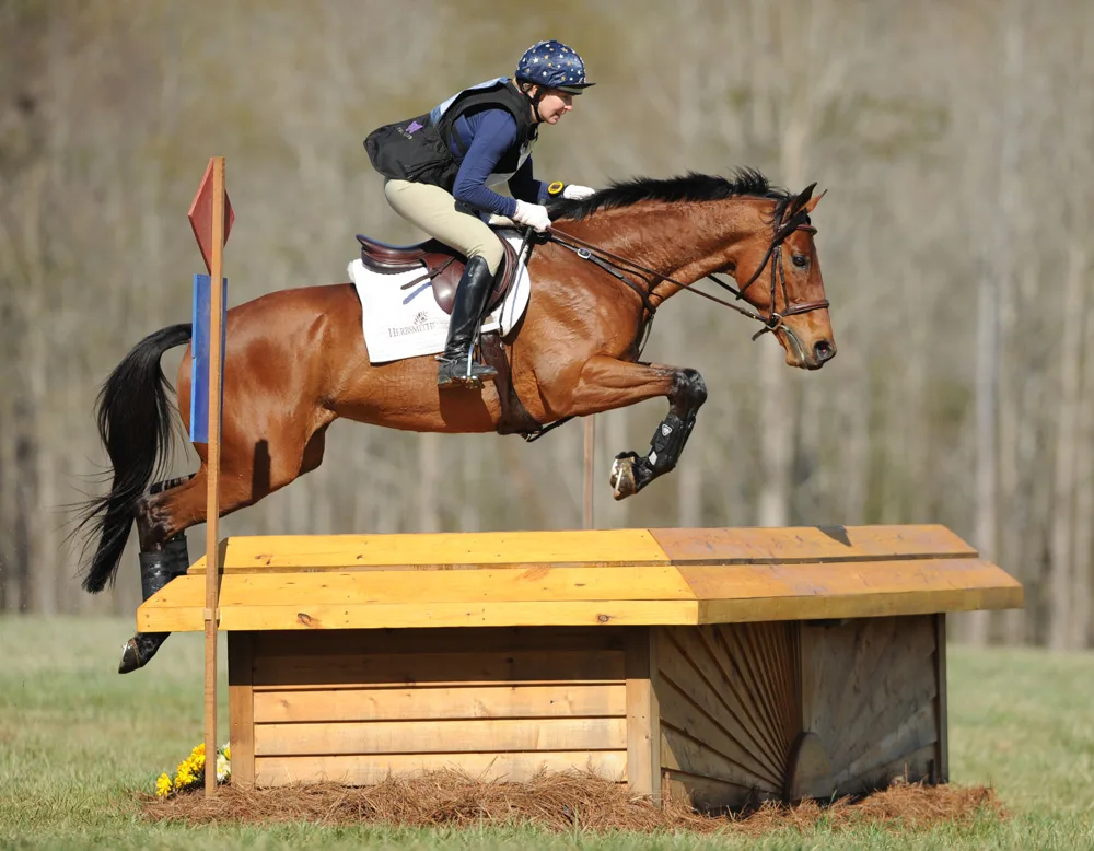 Leslie Chelstrom Loves A Challenge - The Chronicle of the Horse