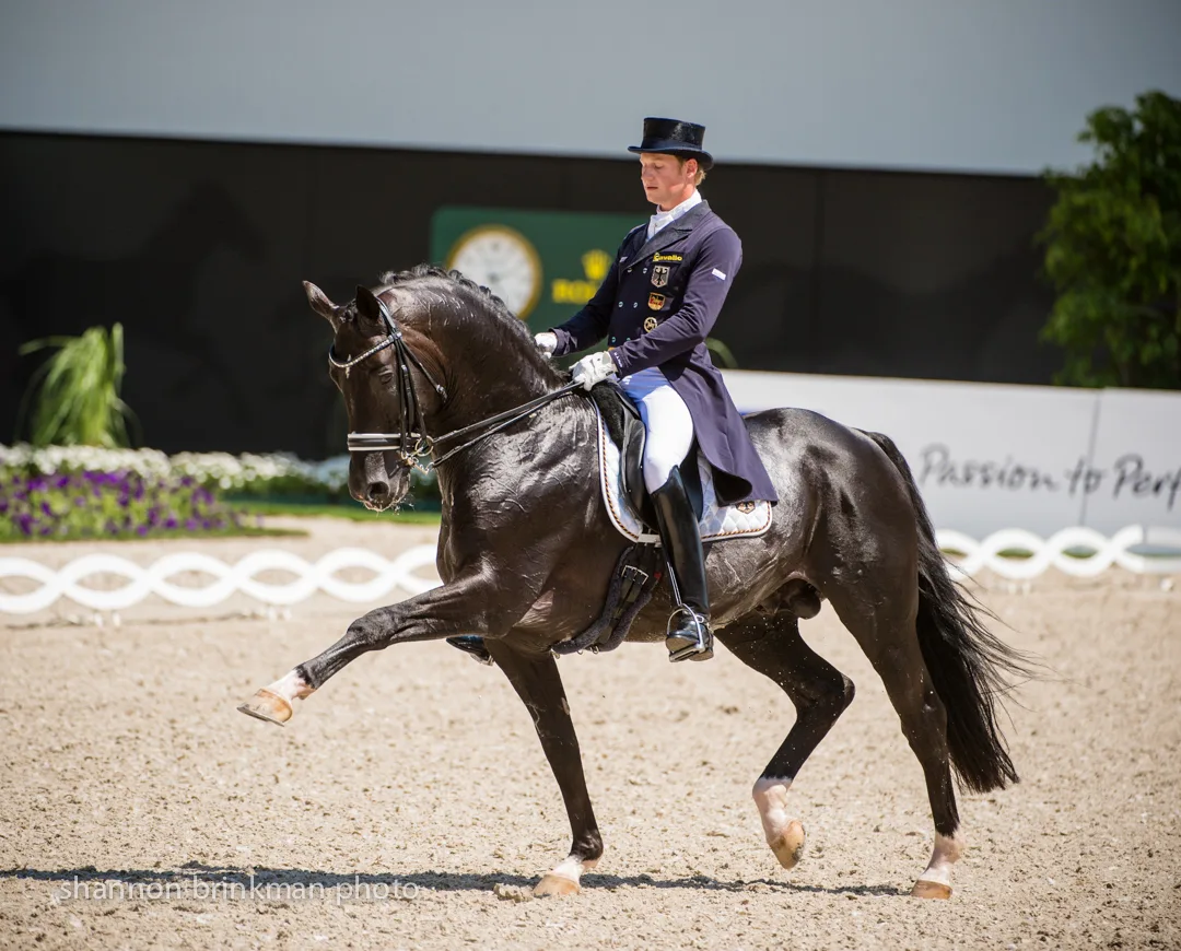 Updated: Totilas Withdrawn From Remainder Of European Championships ...