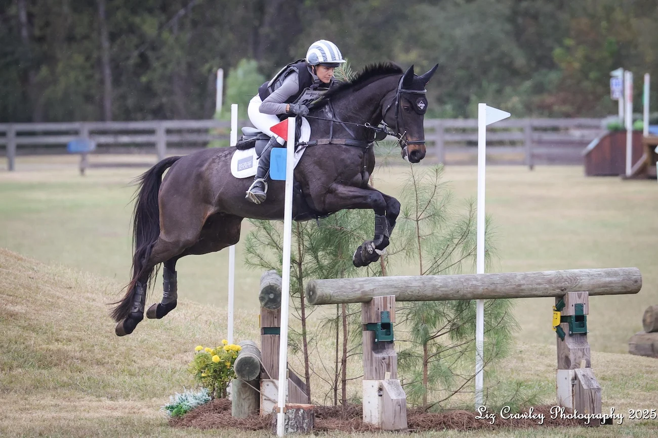 Bellissimo And Dyri Reset From CCI5* Attempt To Build A Winning Autumn Season - The Chronicle of ...
