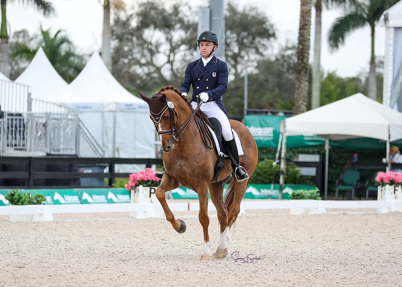 One To Watch: From FFA To AGDF, Ranch Life Prepared Albrecht For Grand ...