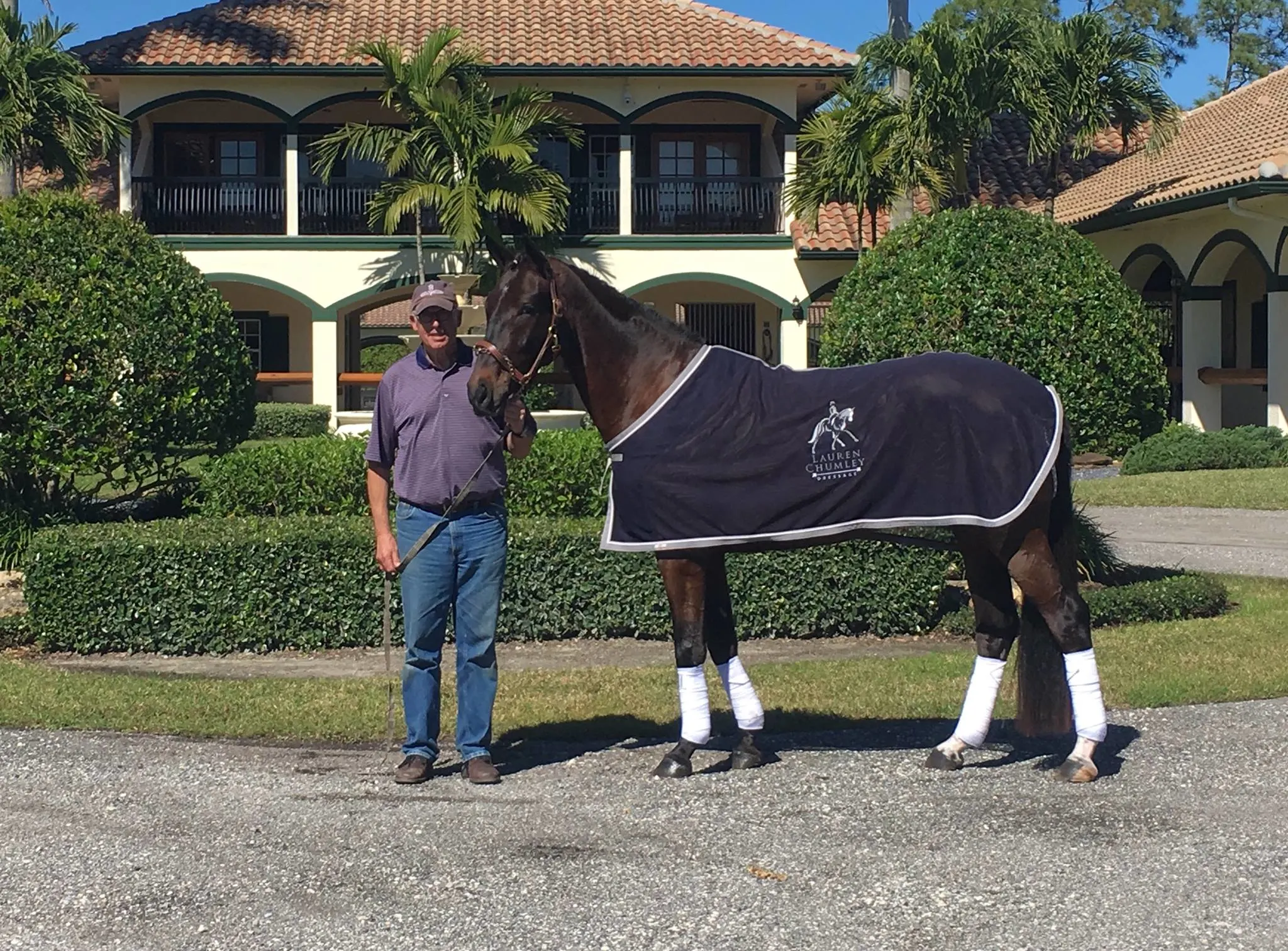 Amateurs Like Us: Lawyer Steven Tarshis Found Dressage And Hasn't ...