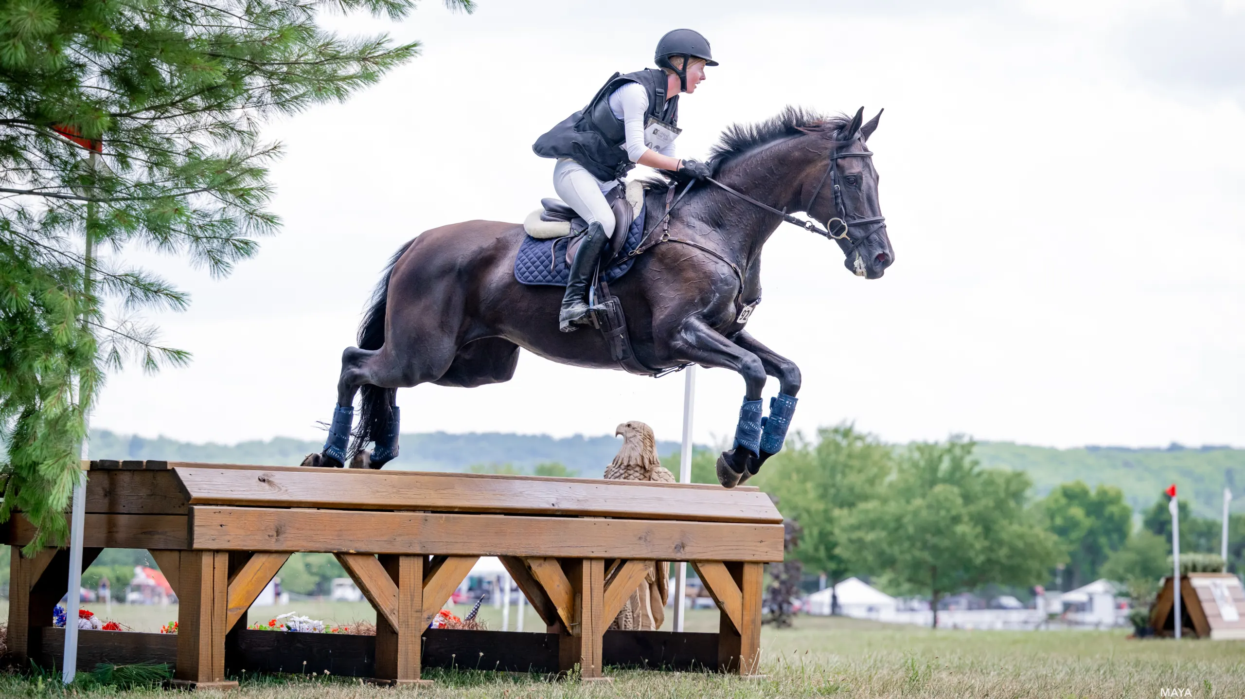 Mystic Hazzard Takes Cakki Purcell From Dressage Finals To Eventing ...