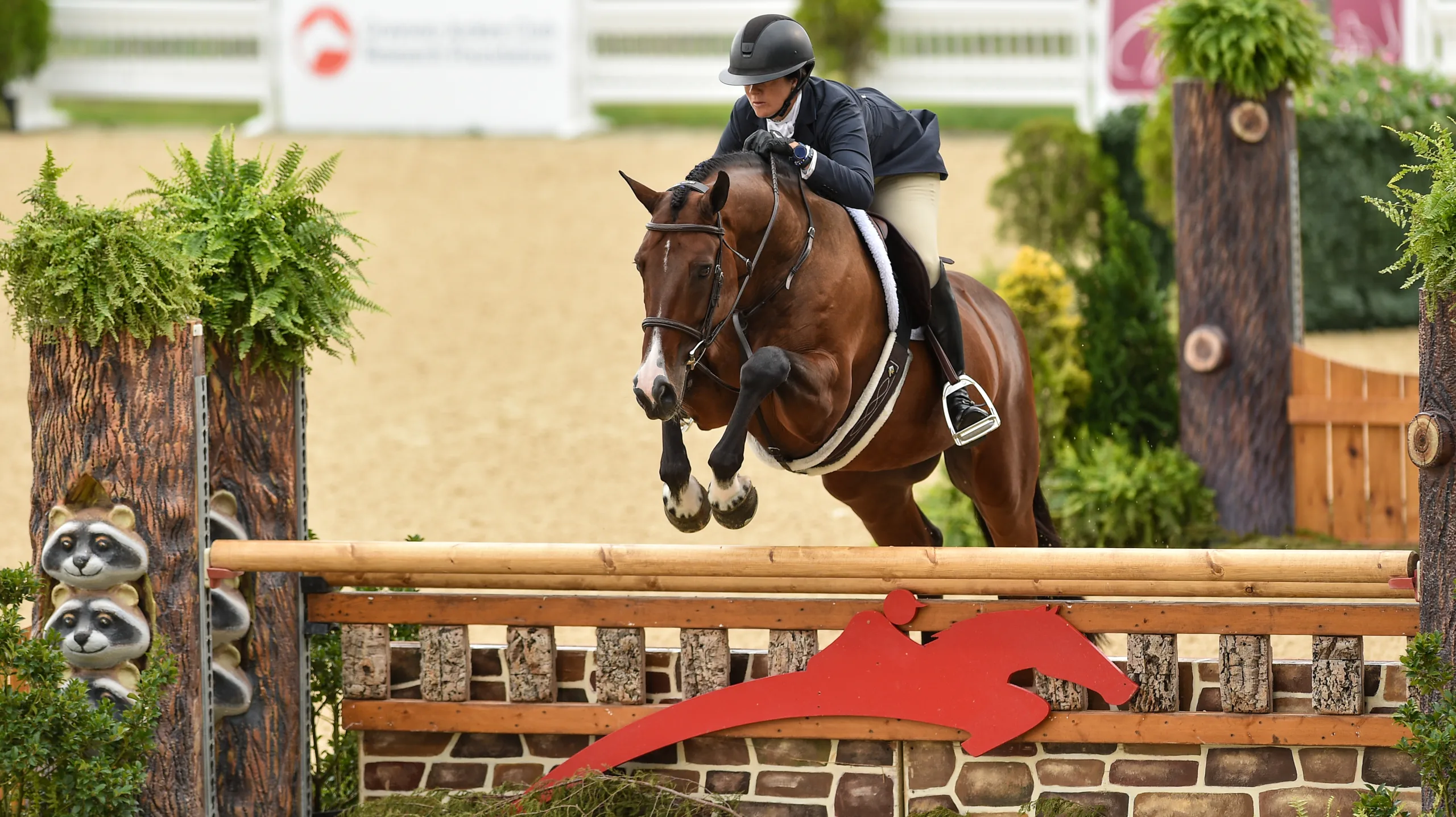Lafitte De Muze Scores A Classic Win At Platinum Performance/USHJA ...