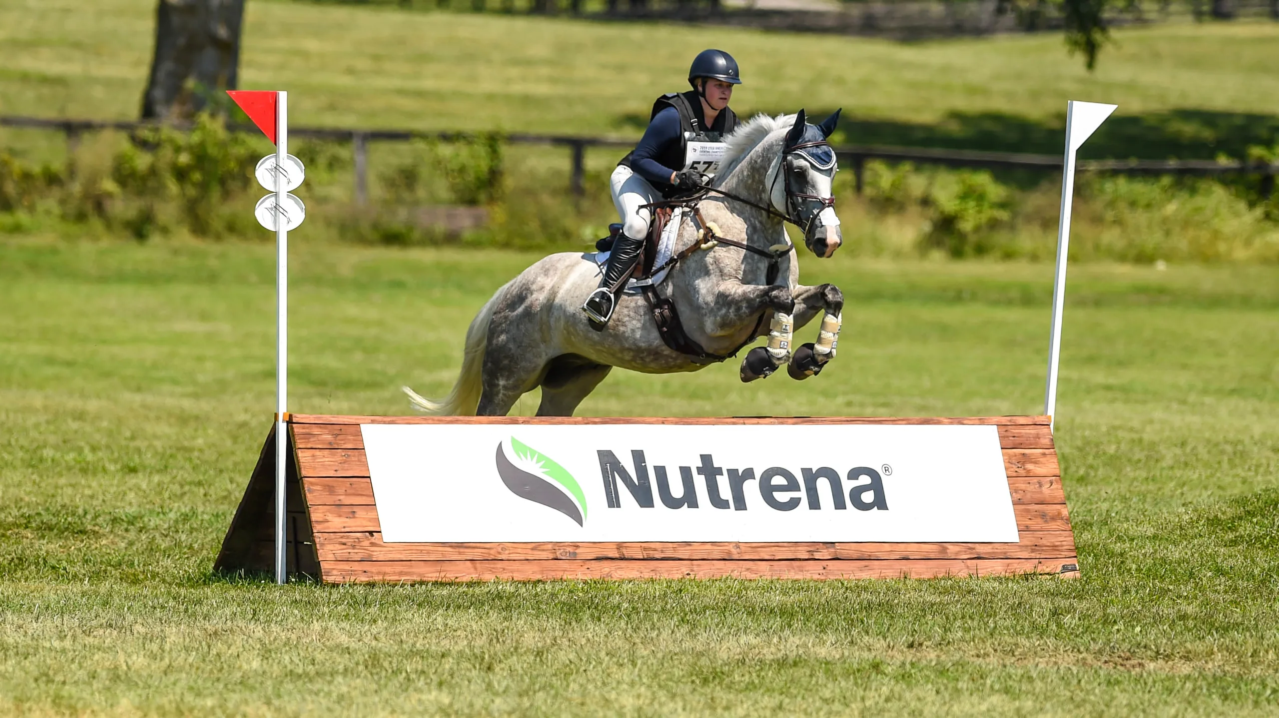 What You Need To Know: 2023 USEA American Eventing Championships - The ...