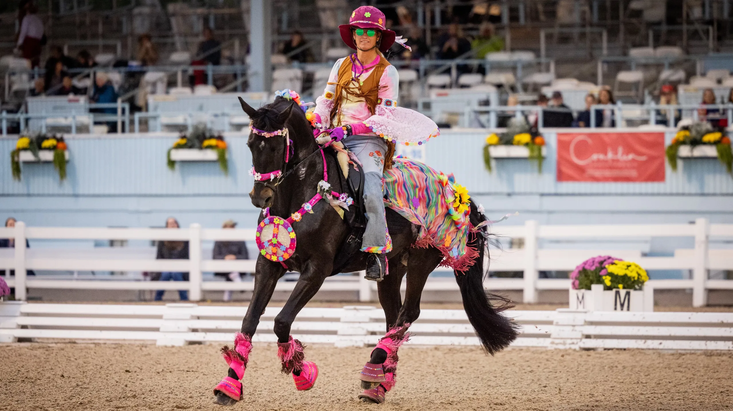 Silva Martin Lights Up The Night At Kingsview Partners Dressage At ...