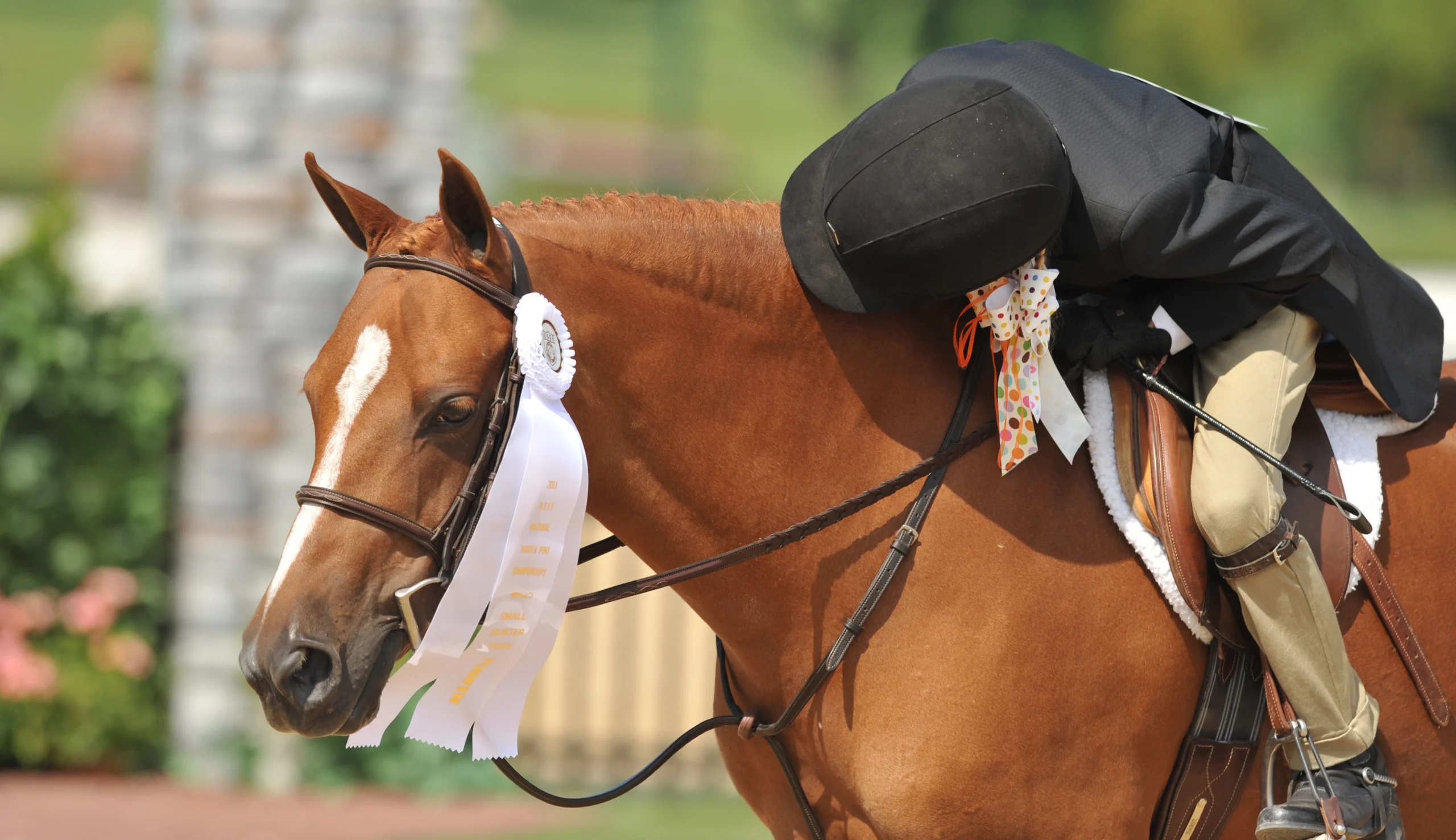 What You Need To Know: 2023 USEF Pony Finals - The Chronicle of the Horse