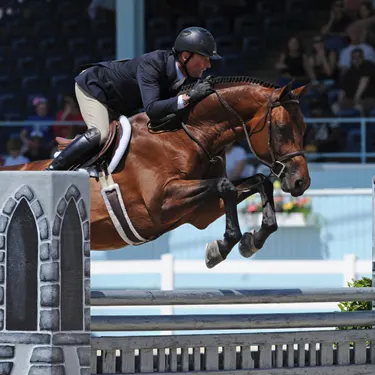 Top Hunter Riders To Compete At Rolex Central Park Horse Show - The ...