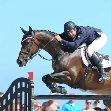 One To Watch: Hardin Towell Is Breaking Through With A Little Help From ...