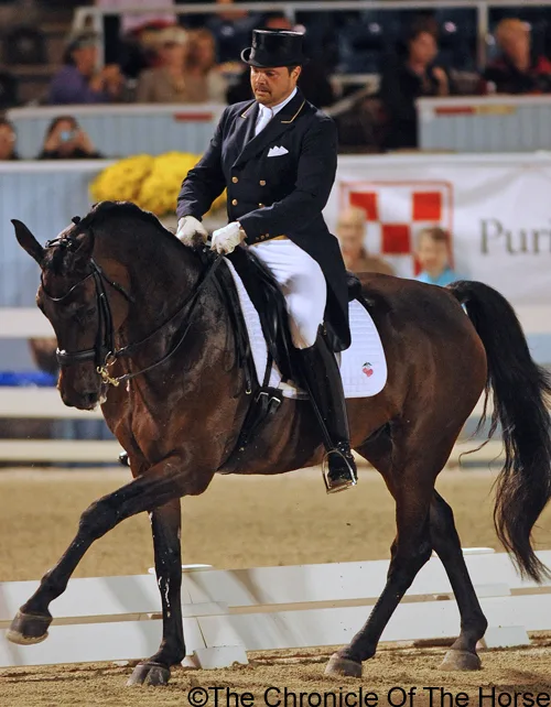 Todd Flettrich - The Chronicle of the Horse