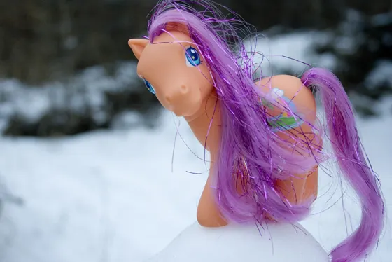 Playing With Ponies Defined My 1980s Childhood - The Chronicle of the Horse