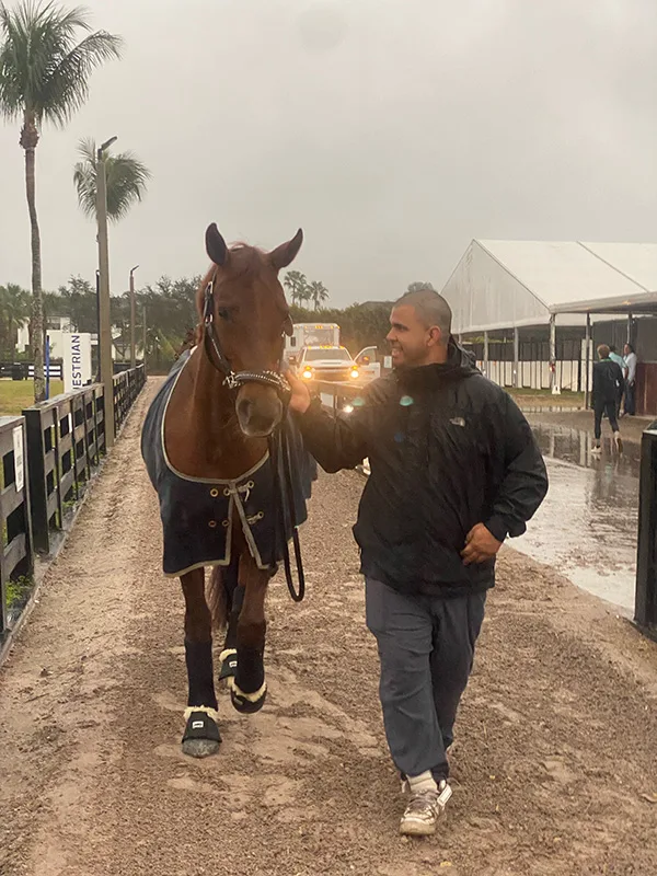 A Day In The Life With: Anna Buffini - The Chronicle of the Horse