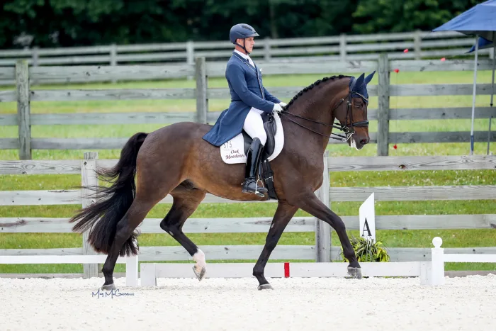 Ringside Chat: Hickey Has A Hot New Dancing Partner In Stenagers Wyatt ...