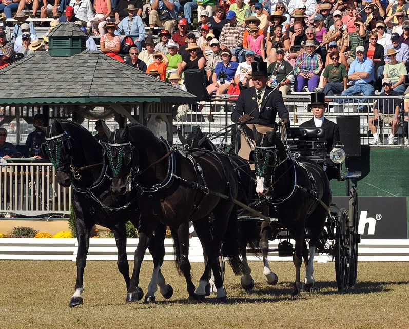 Boyd Exell Drives A Record Test At The Alltech FEI World Equestrian ...