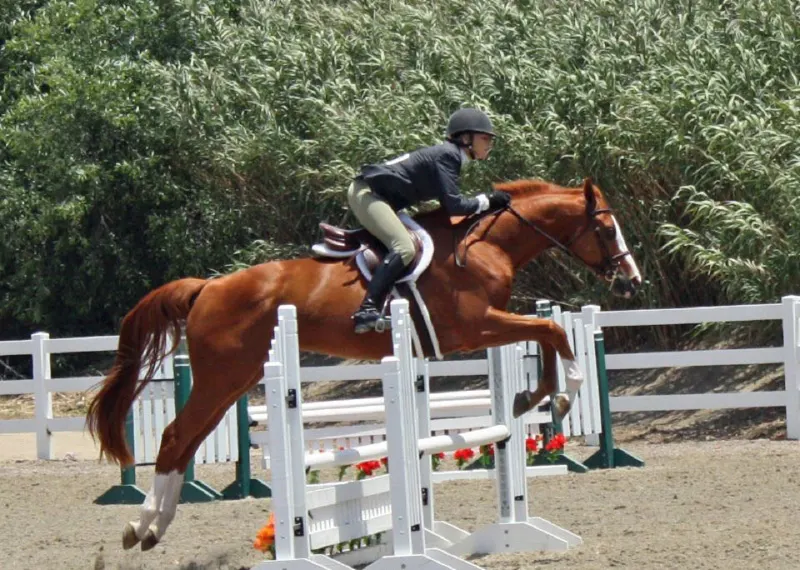 Amateurs Like Us: It Was Never Too Late For Sara Parriott To Get In The ...