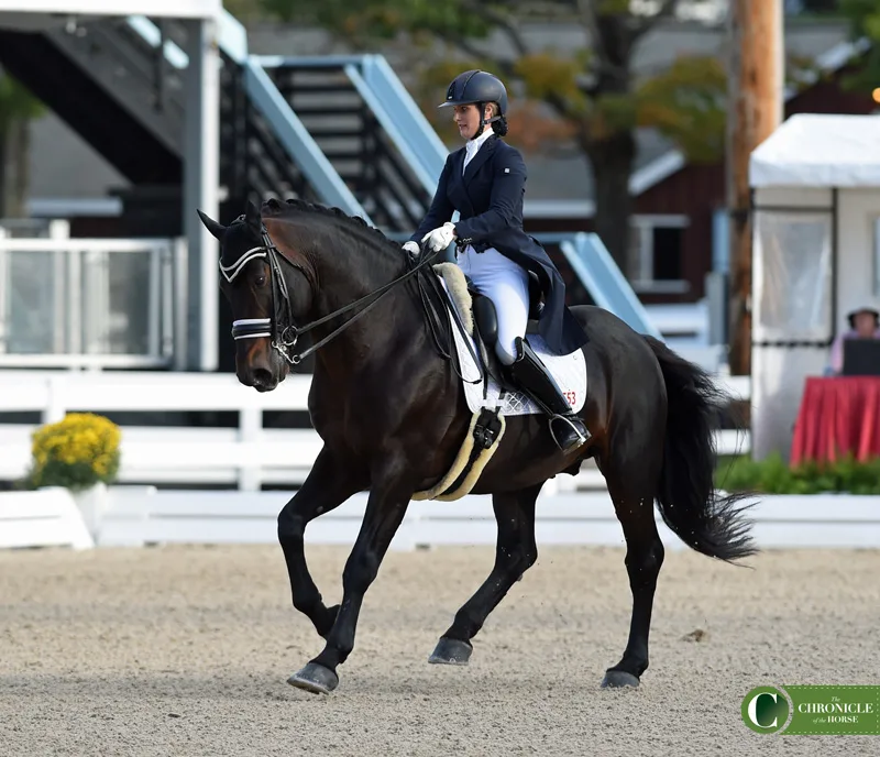 Trading The Rub Rag For Dressage At Devon Blue - The Chronicle of the Horse