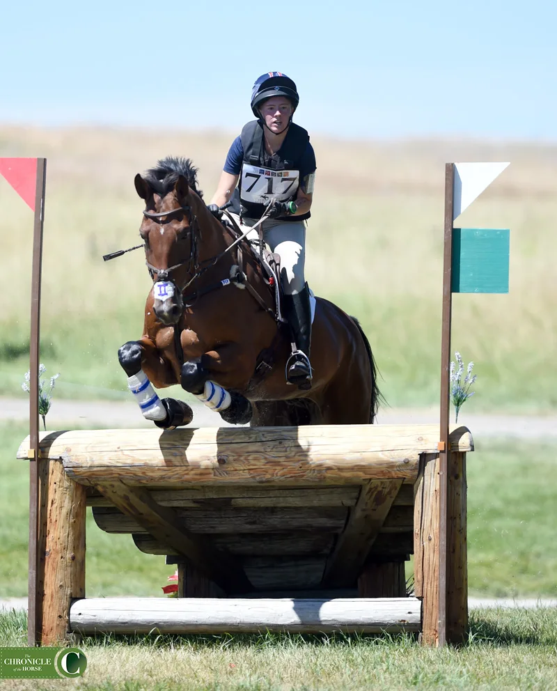 Area I Catapults To The NAJYRC CCI* Lead - The Chronicle of the Horse