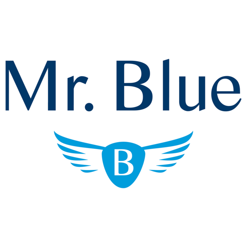 MR. BLUE | Gran Plaza 2