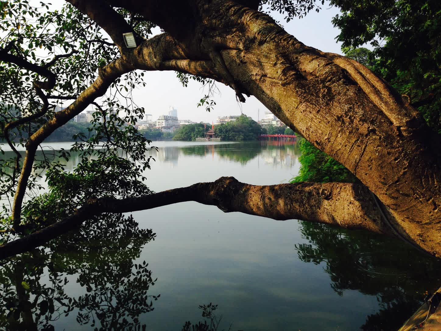 The Wonder Of The Bamboo Road Cycling Tour: Notes From The Field | TDA ...