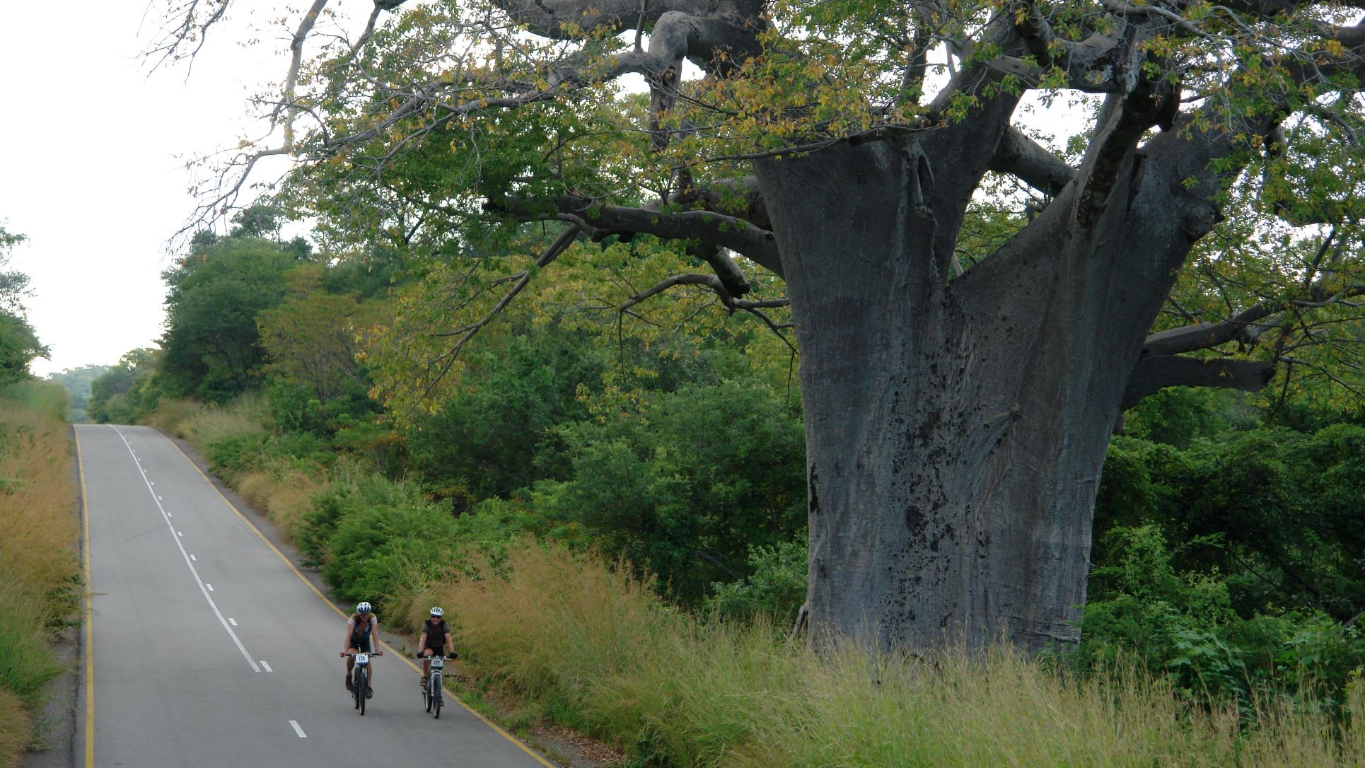 What is the Carbon Footprint of a TDA Cycling Tour? | TDA Global Cycling