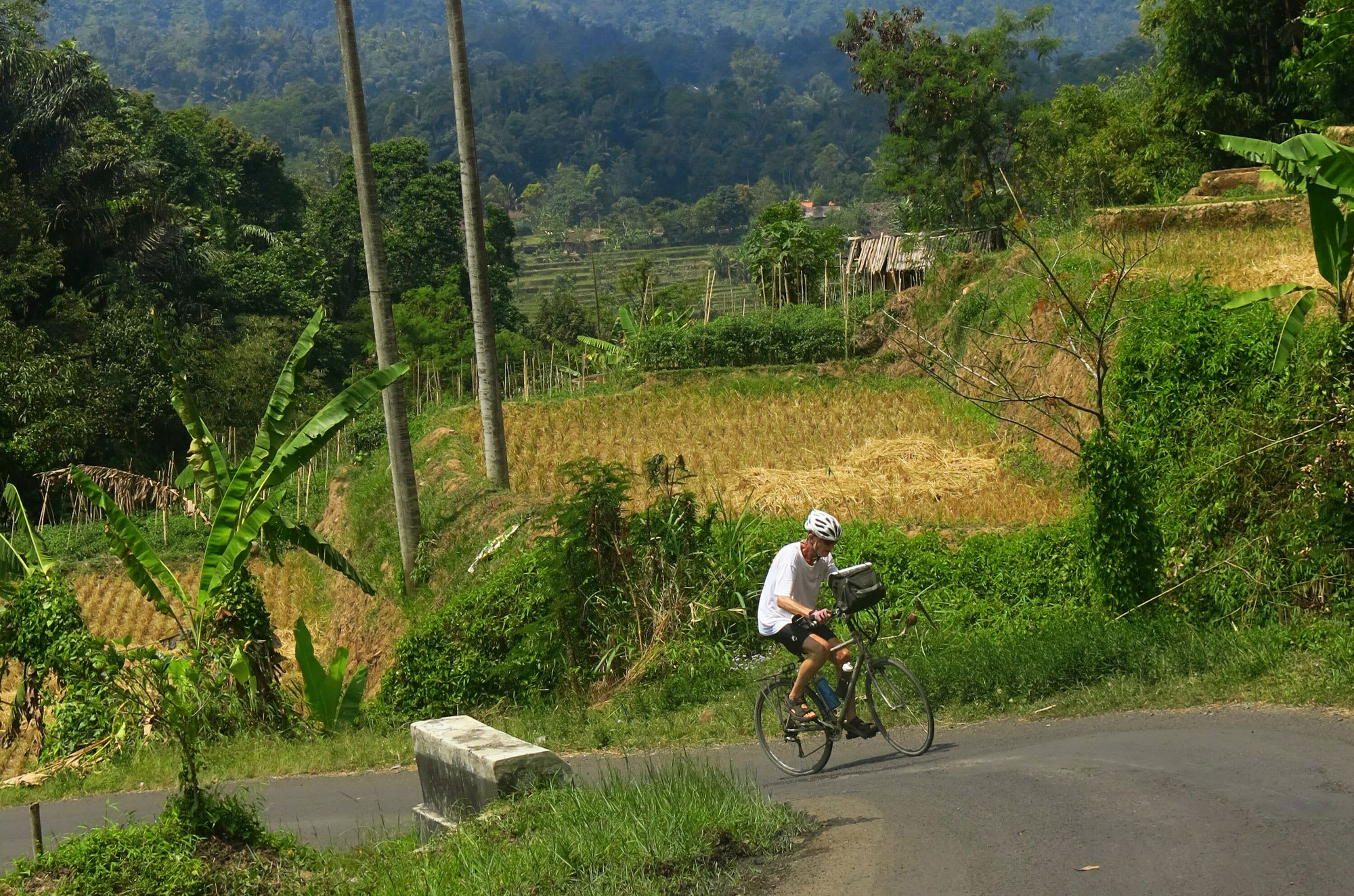 The Joy Of Bicycle Gearing: Everything You Need To Know | TDA Global ...