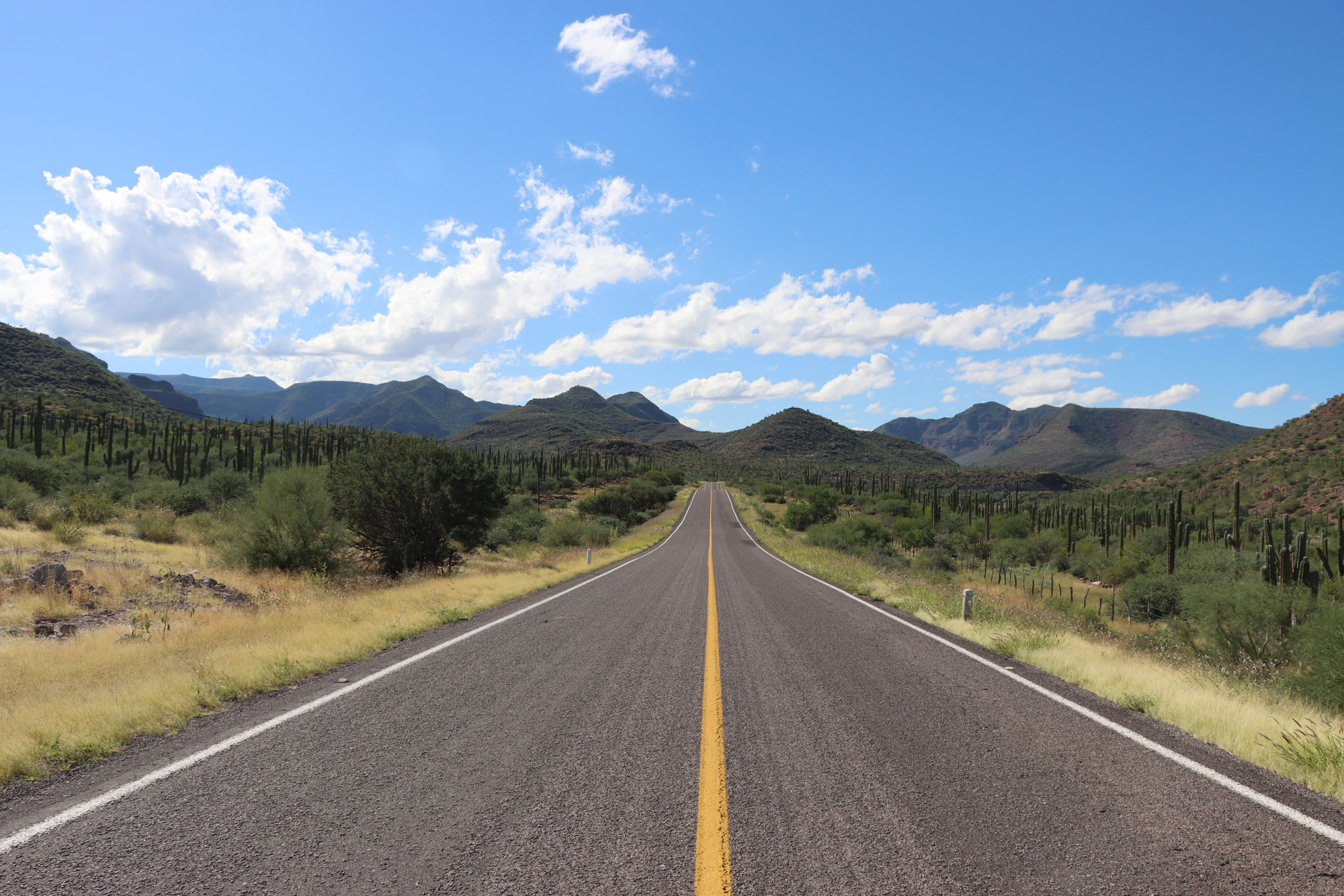 The Roads Of Baja California | TDA Global Cycling
