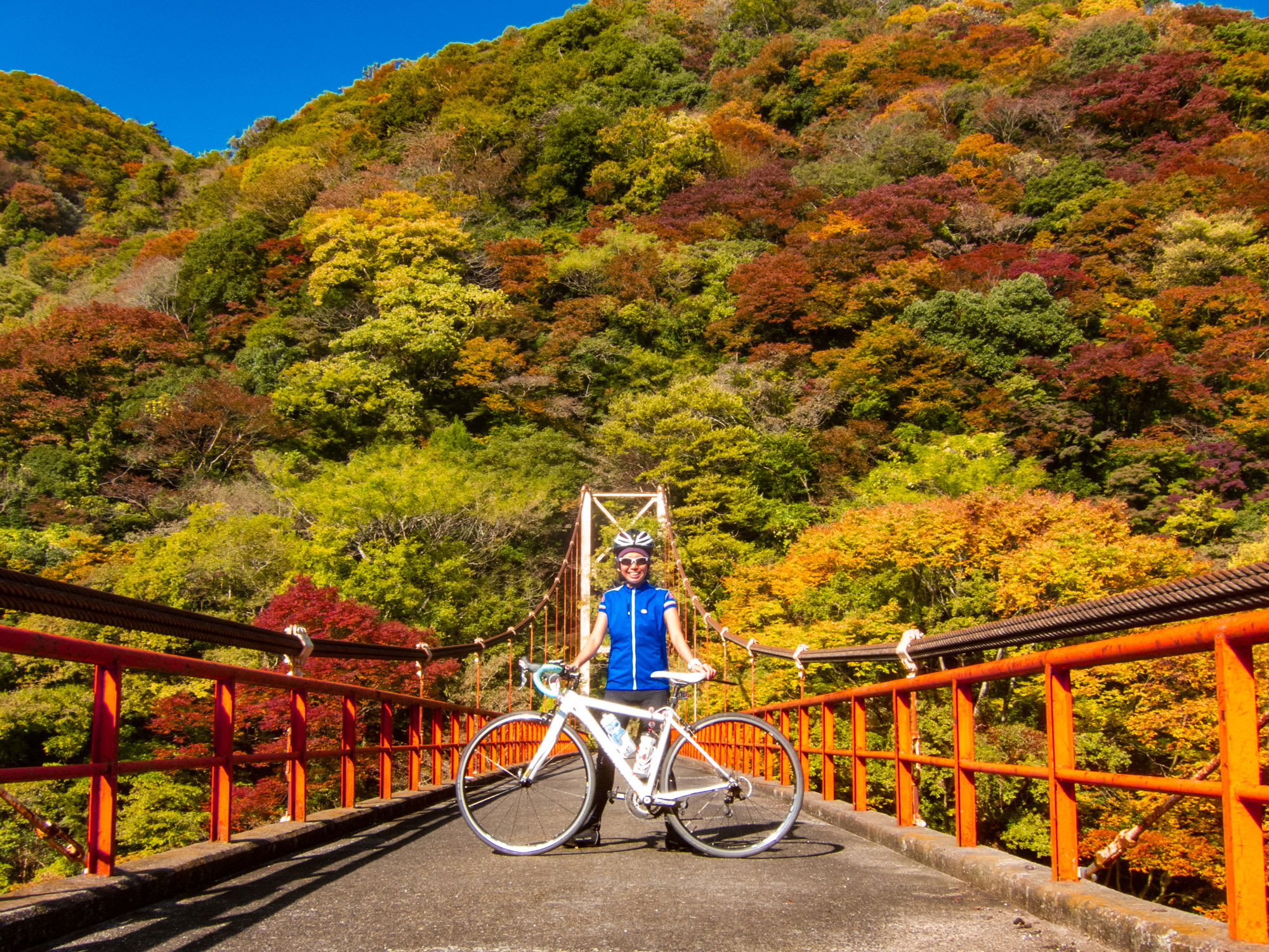 TDA Global Cycling: Our 2023 Tour Lineup | TDA Global Cycling