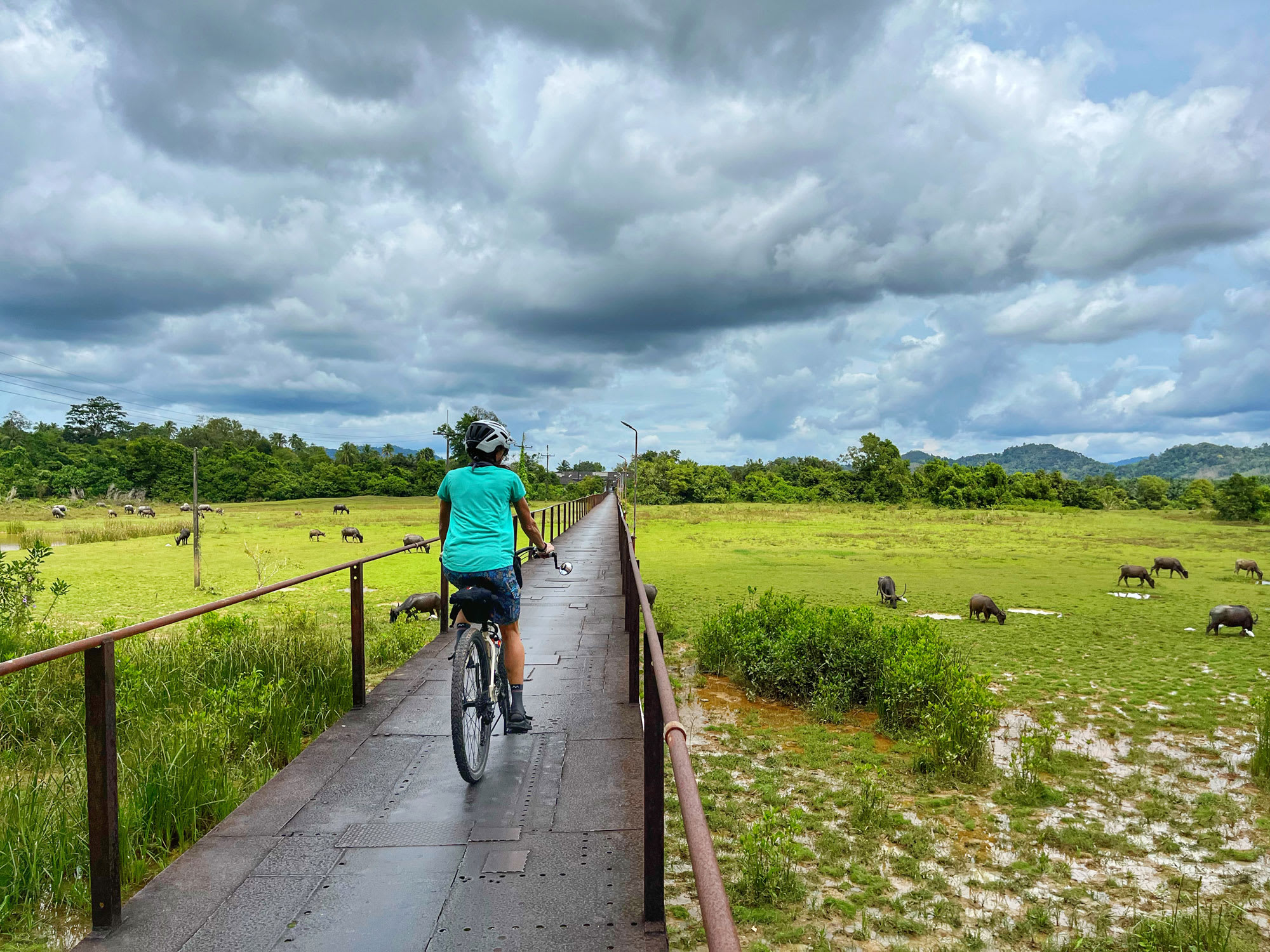 The Wonder Of The Bamboo Road Cycling Tour: Notes From The Field | TDA ...