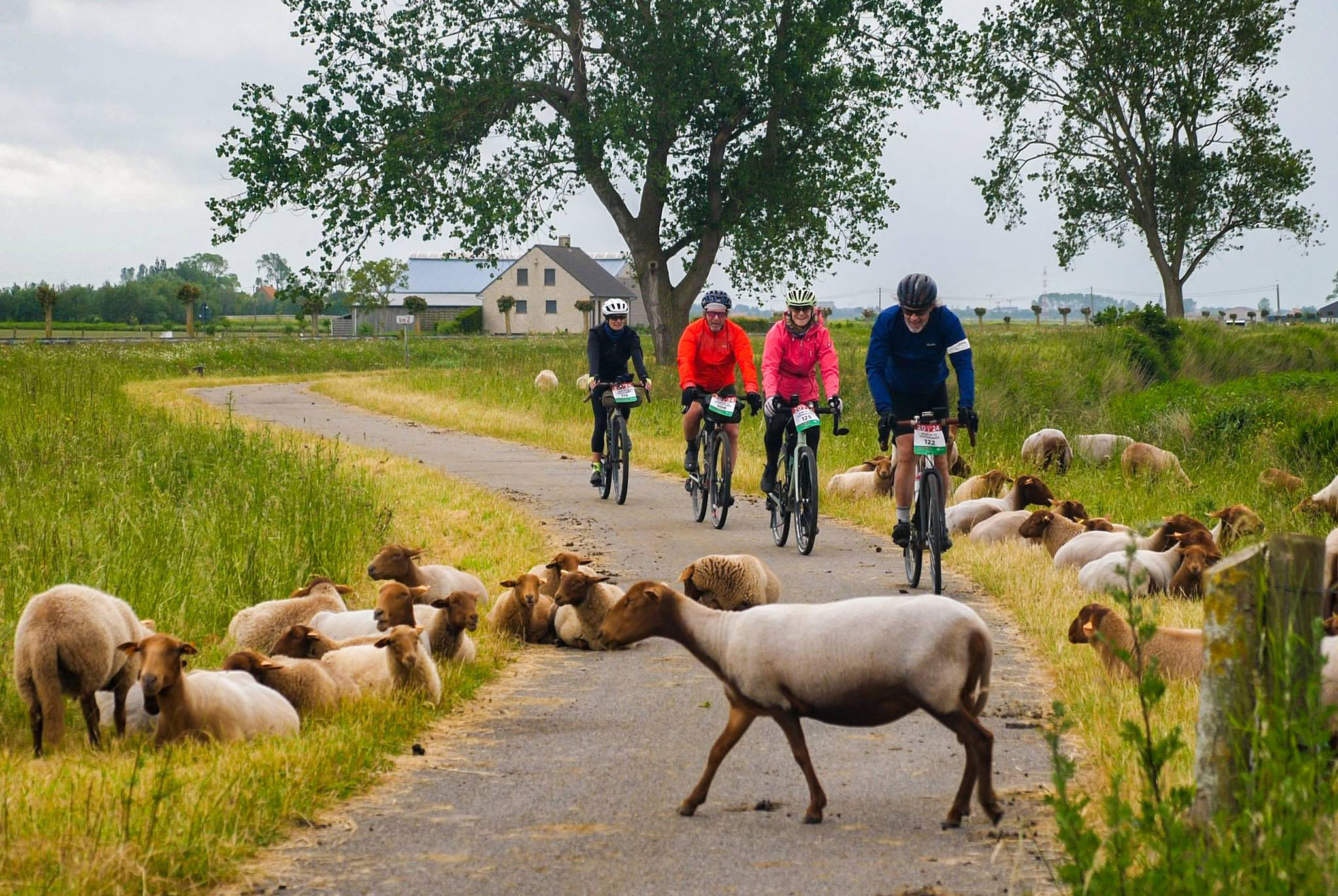 “I Highly Recommend This Tour!” – Reviews From The The Pub Ride | TDA ...