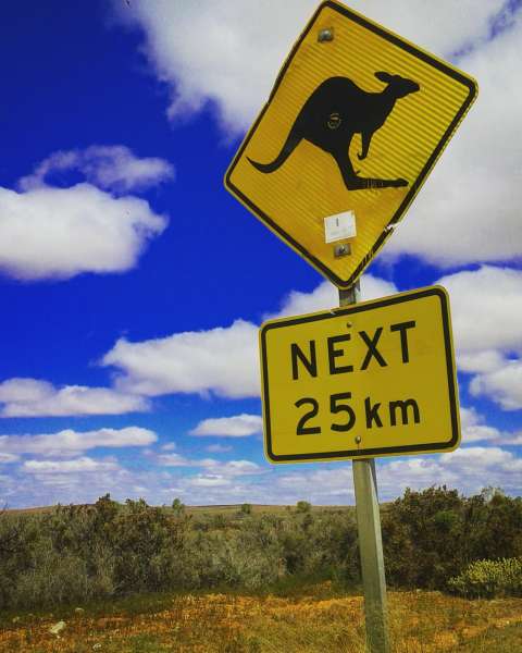 The Great Ocean Shortcut | TDA Global Cycling