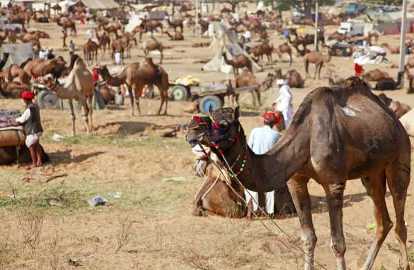 7 Groovy Reasons To Cycle The Hippie Trail | TDA Global Cycling