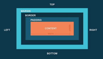 Belajar CSS untuk Pemula: Box Model