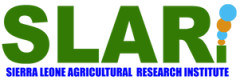 Sierra Leone Agricultural Research Institute (SLARI) | Devex