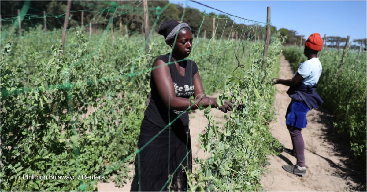 Regional cooperation is Africa’s best bet beyond aid | Devex