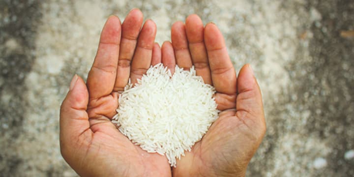 Opinion: Why fortified rice is a game changer | Devex