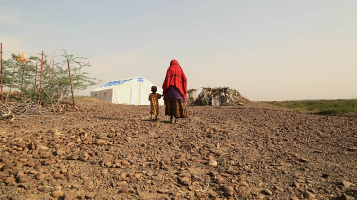 The impact of Ethiopia's 'Code Red' food crisis | Devex