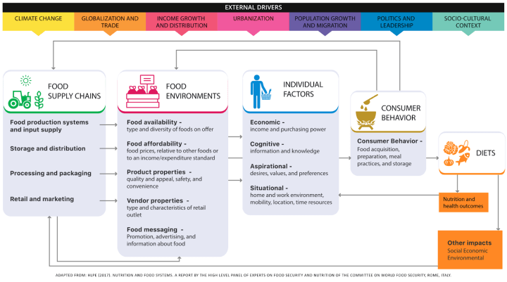 'Google Maps for food systems': New dashboard aims to aid decision ...