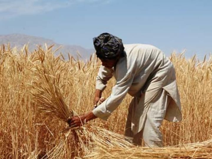 Report Seeks Better Monitoring of USAID’s Agricultural Programs in ...