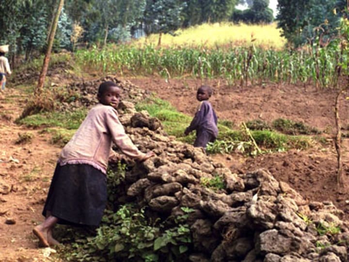 IFAD Expands Aid to Rwanda | Devex