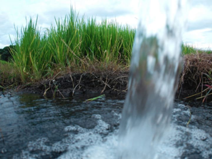 Asia Urged to Improve Irrigation Systems for Increased Food Production ...