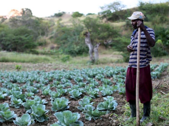 Haiti Farming Modern Oxygen Production Center In Haiti Transforms