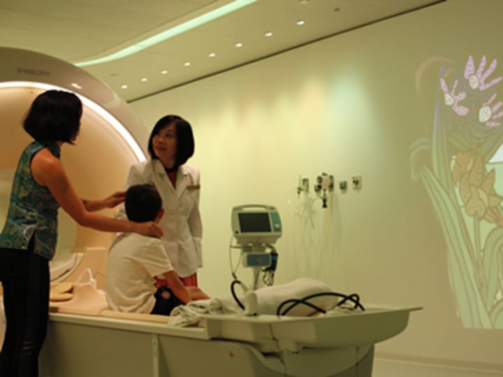 Singapore's health system — a model for developing countries? | Devex