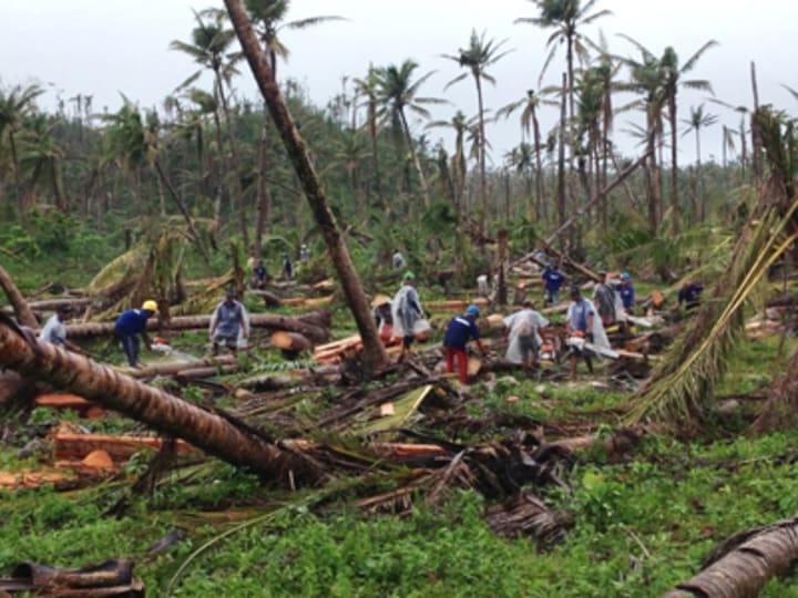 Why it's crucial to save before disaster strikes | Devex