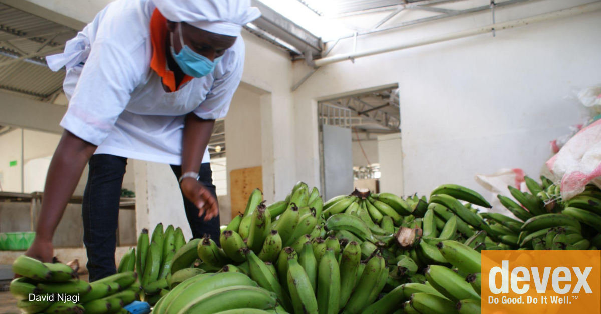 Kenya's attempt to boost agro-processing | Devex