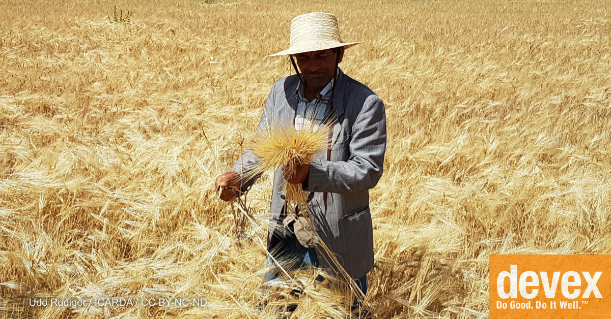 Opinion: COP 27 must prioritize food systems' climate adaptation | Devex