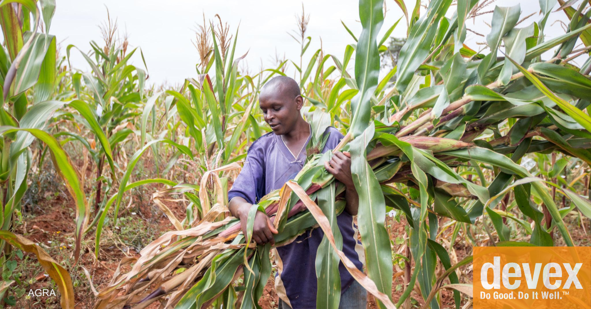 AGRA shifts focus to sustainable farming to address climate change | Devex