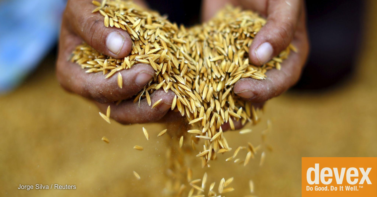 'Very, very worried': Another bleak year expected for food security | Devex
