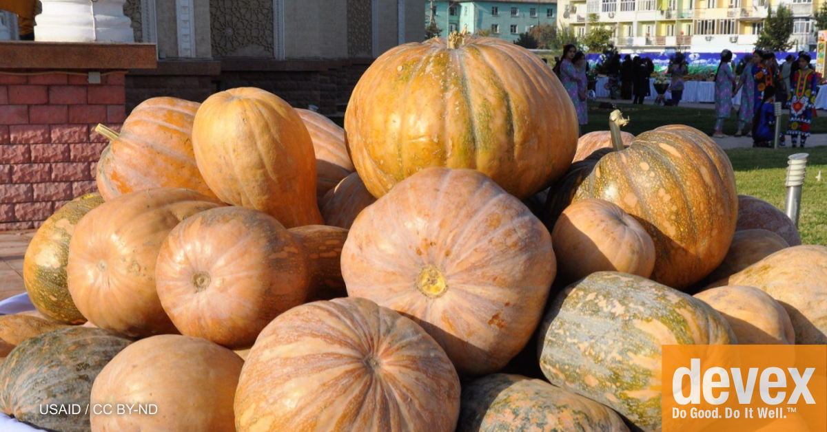 Can pumpkins be the start of a vegetable revolution in Uganda? | Devex