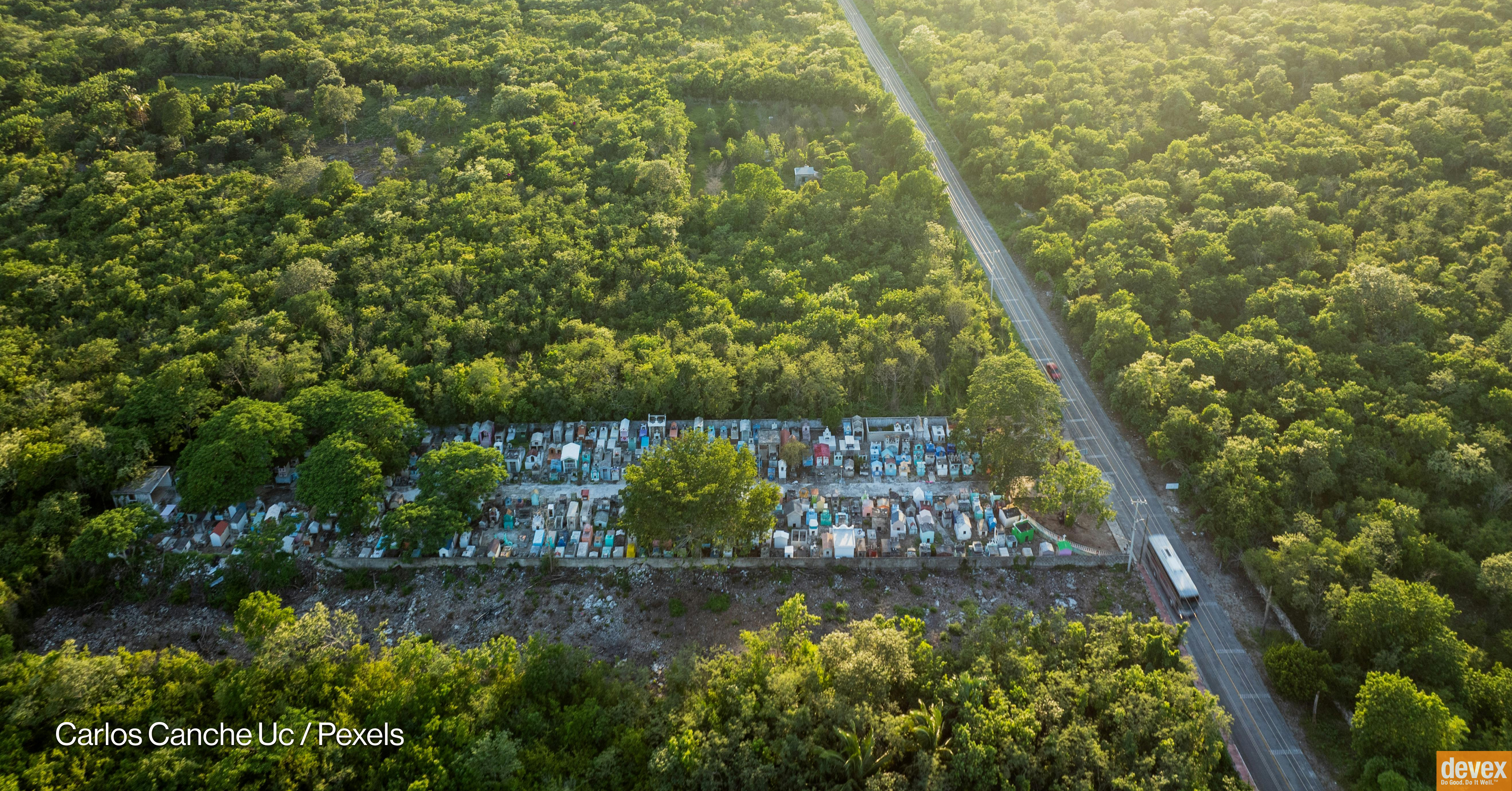 A new how-to guide on carbon markets | Devex