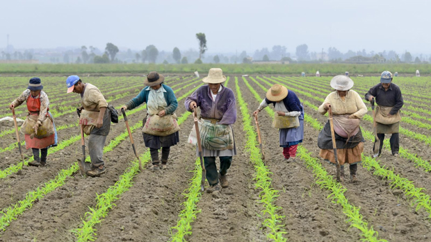 Food security is land security | Devex