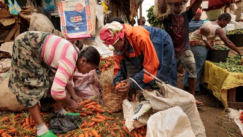 UN report: Countries at all income levels waste food | Devex